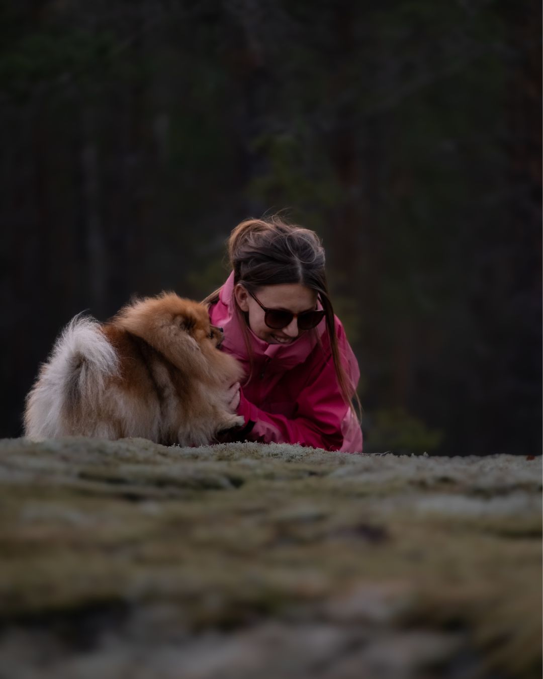 Pinebassador Profile: Louise Dog Trainer Sweden | Pinewood Family